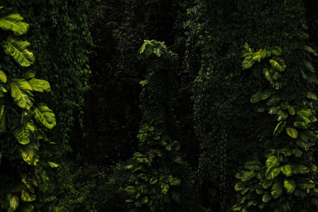 Navigating the Treacherous Drake Passage