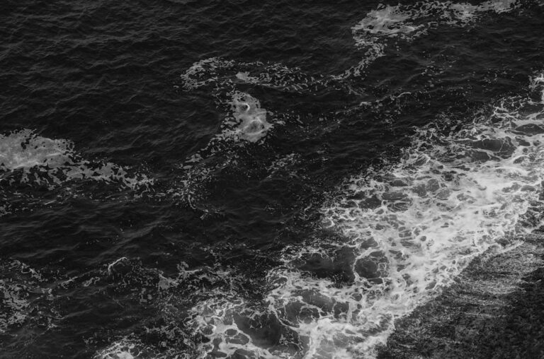 Navigating the Treacherous Drake Passage Seas