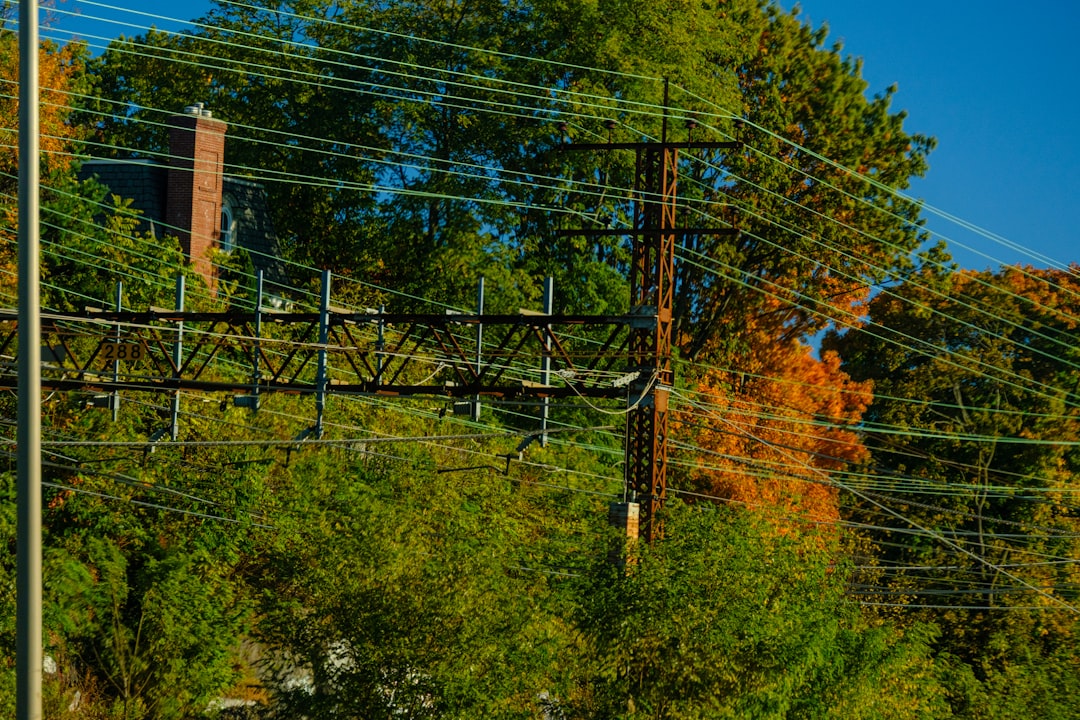 Meeting Grid Demand: The Impact of Electrification