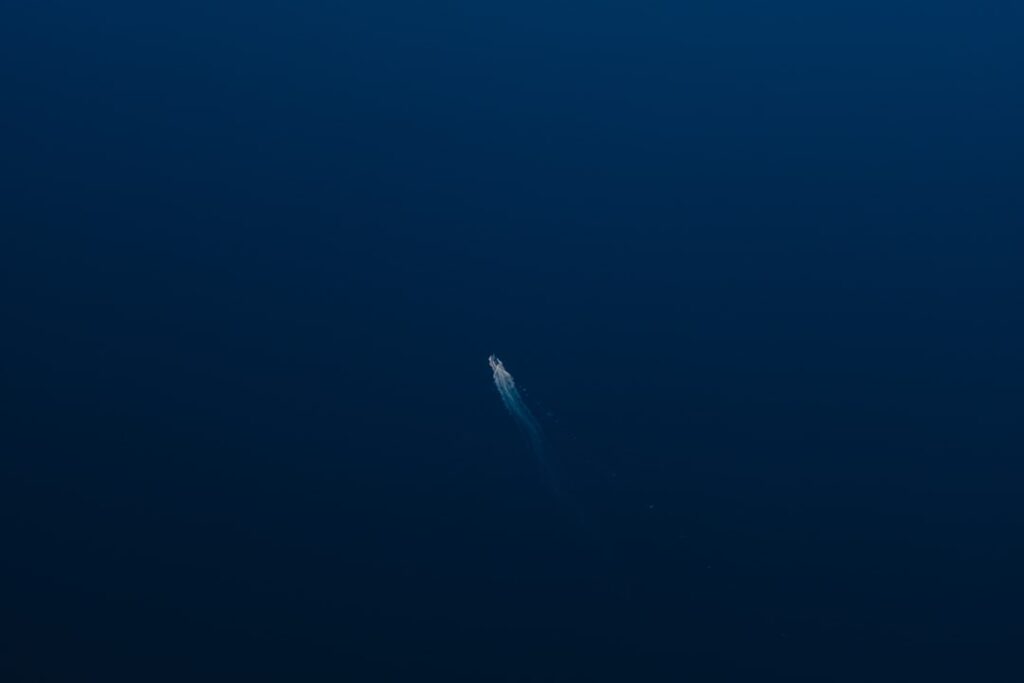Legendary Drake Passage Sea Monster: Fact or Fiction?