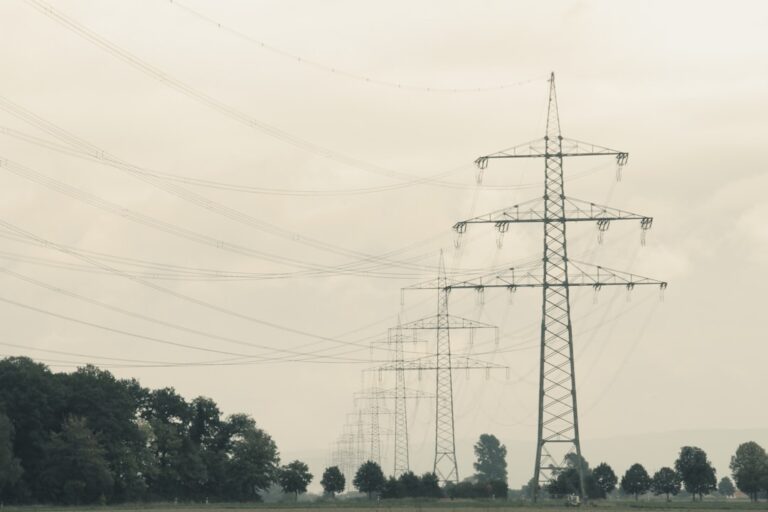 Understanding Power Grid Collapse in Natural Cycles