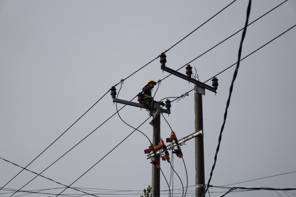 Understanding Power Grid Cascading Failures