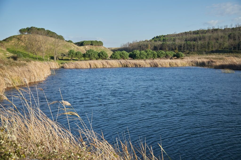 Building Earthen Dams: A Step-by-Step Guide