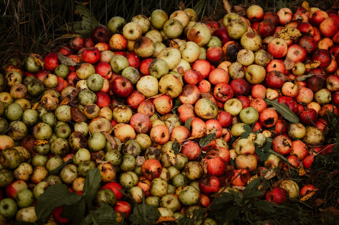Global Food Trade Disruption: Impact and Solutions