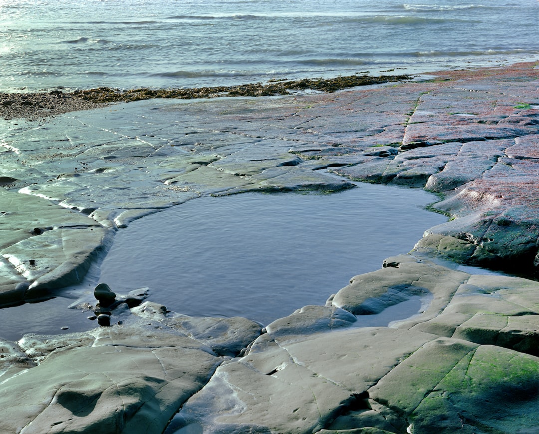 Understanding Density Flow in Saltwater Wedges
