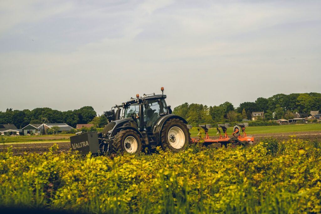 Maximizing Yields: Dryland Farming Techniques