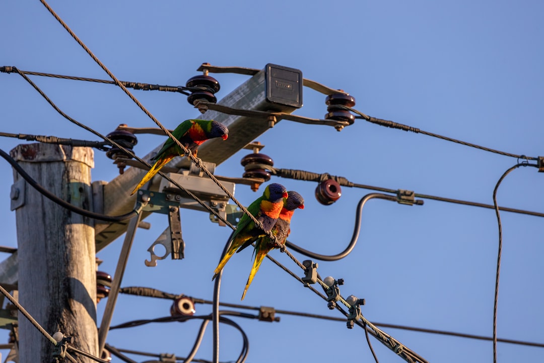 Addressing Critical Electrical Grid Modernization Needs