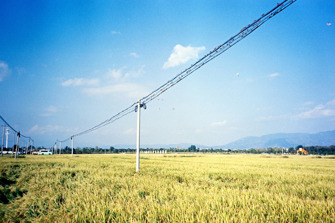 Maintaining Grid Frequency Stability with Control