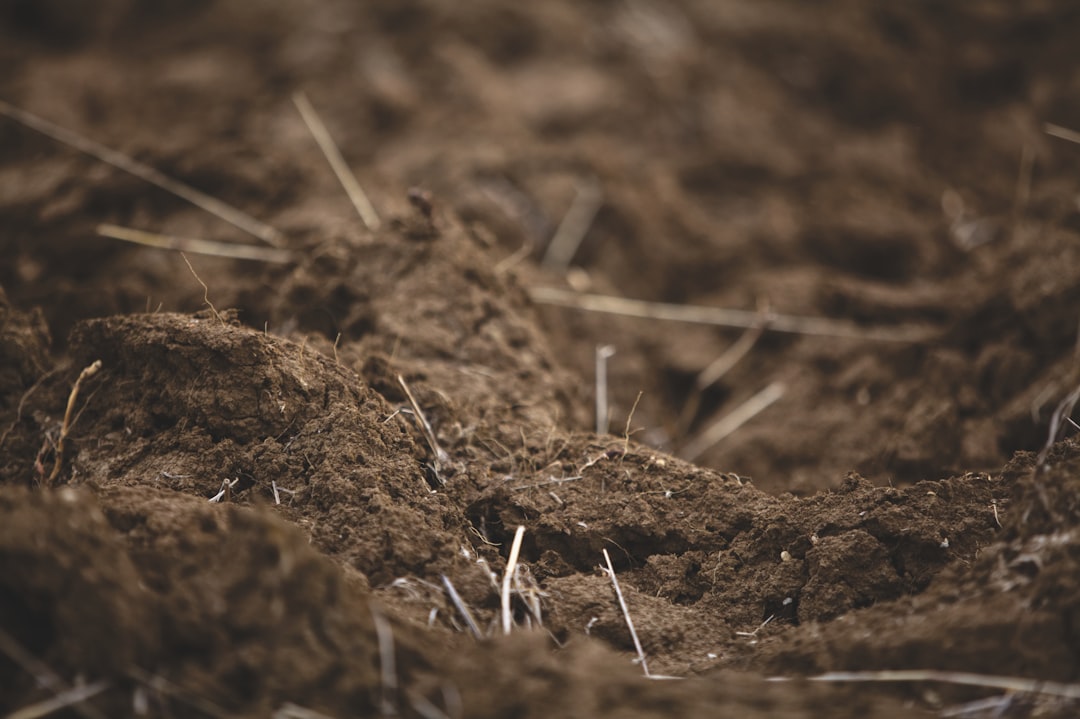 Improving Agricultural Policy for Sustainable Soil Conservation