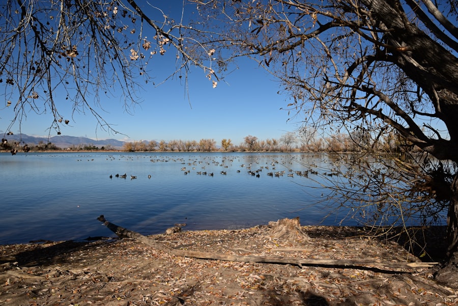 Predicting Lake Mead's Dead Pool Level