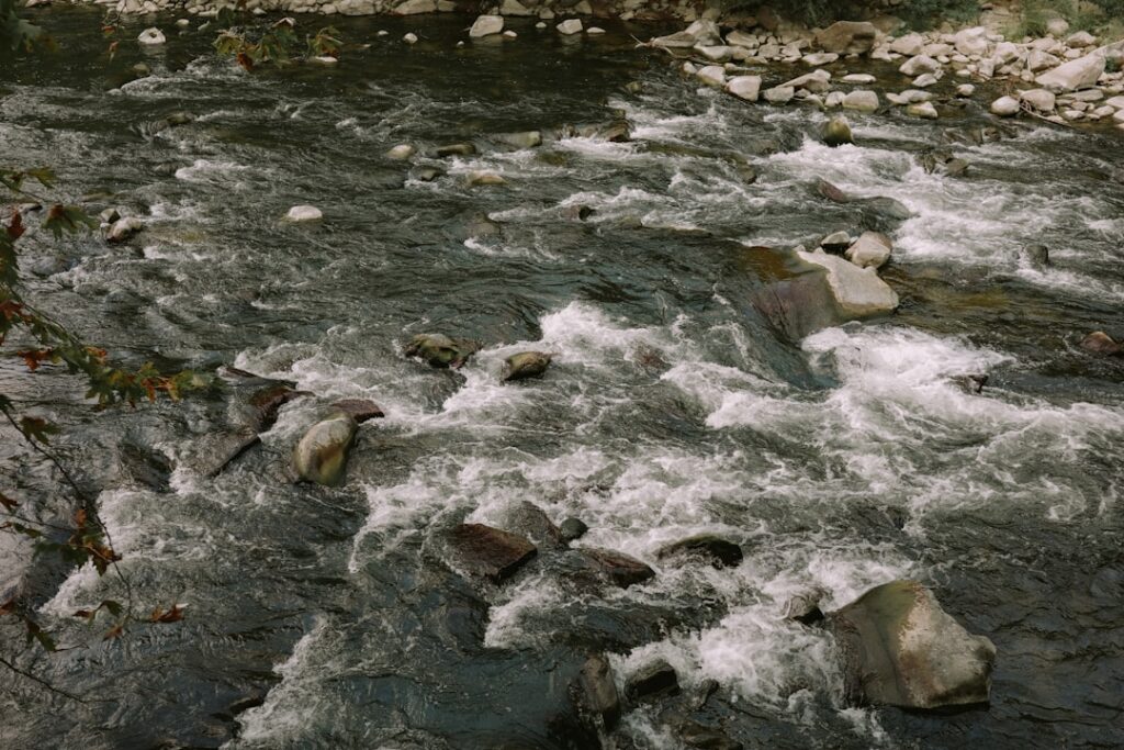 Downstream Impact of Run of River Dams