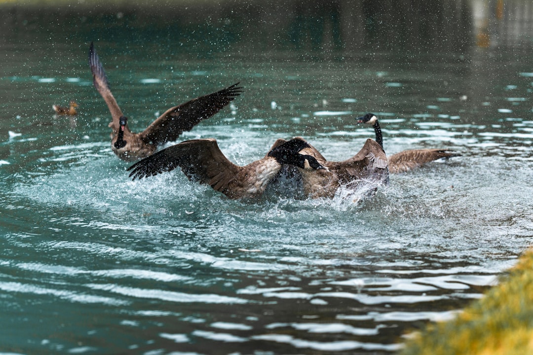 Water Wars: Upper Basin vs Lower Basin Showdown