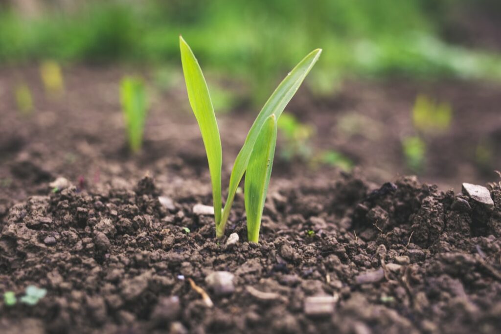 1980s Farm Crisis Echoes in Modern Agriculture