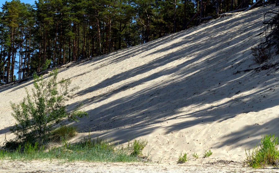 Global Playbook for Sustainable Sand Management
