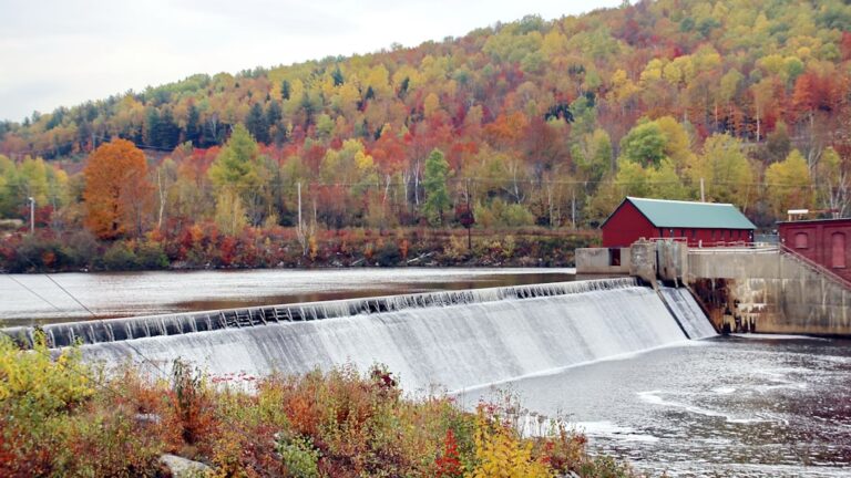 Water Councils and Basin Management: Working Towards Sustainable Water ...