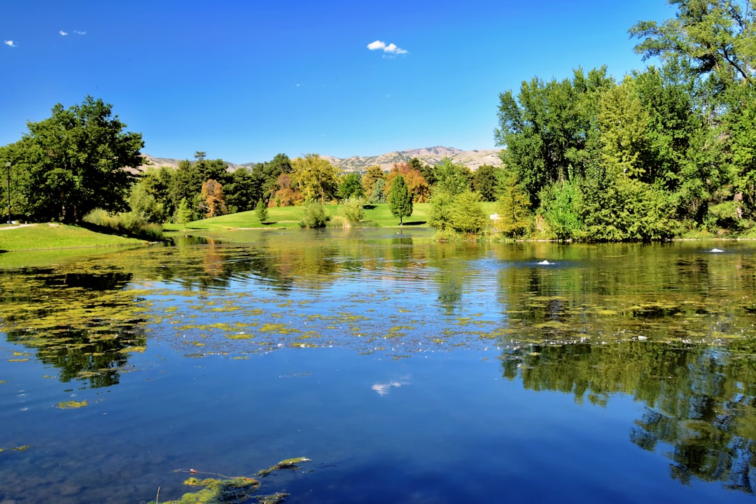 Utah Alfalfa Water Consumption: Statistics and Trends
