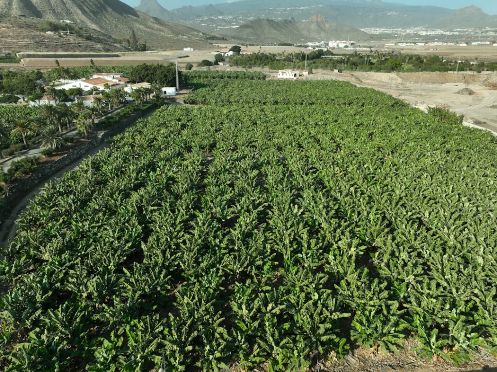 Morocco-China Axis: Fertilizer Trade Flourishes