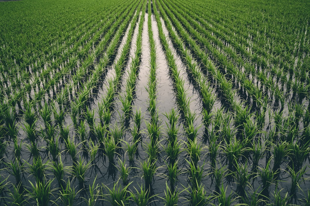 Navigating Fertilizer Supply Chain Risks in 2026