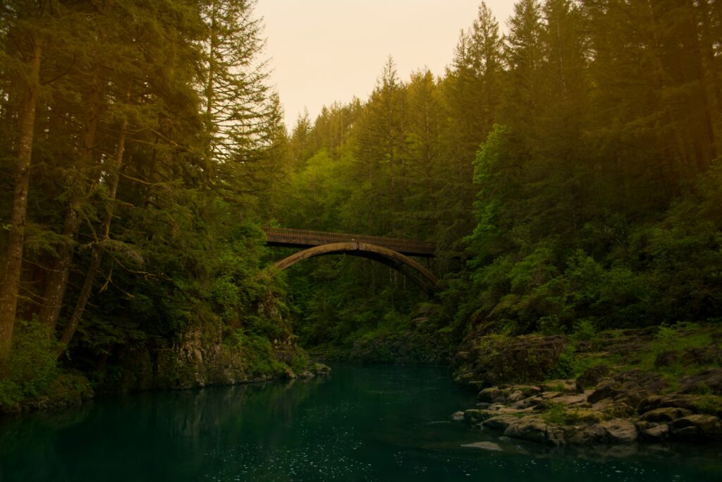 The Bridge that Nature Broke: A Documentary