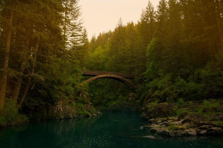 The Bridge that Nature Broke: A Documentary
