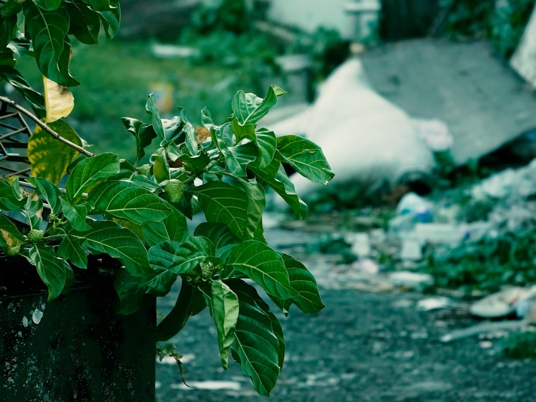5 Reasons Urban Resilience is Challenging - Urban areas face complex ...