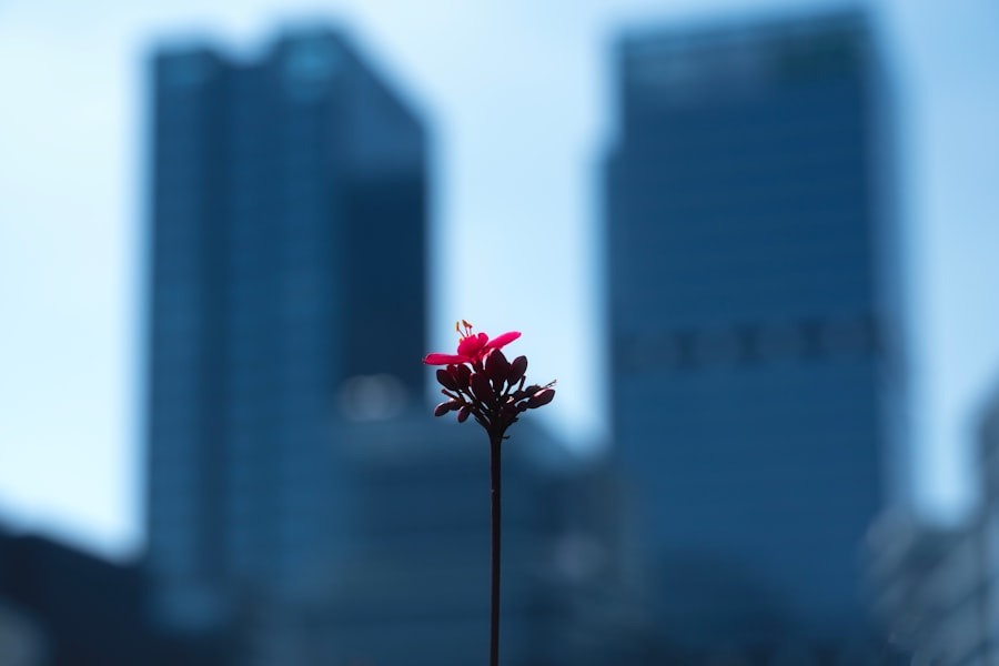 5 Reasons Urban Resilience is Challenging - Urban areas face complex ...